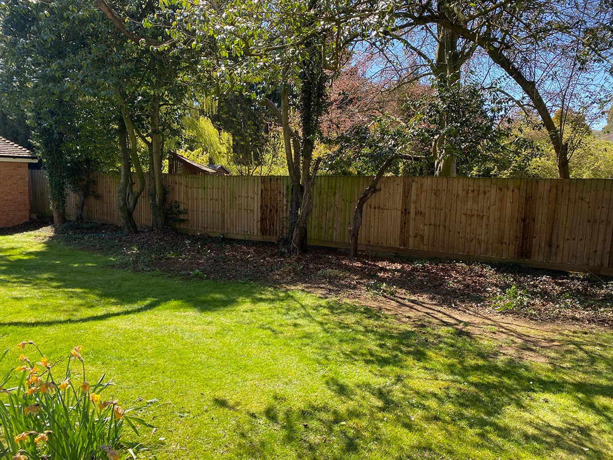 Case Study: Crown Lifting In Moulton | Crown Lifting Services